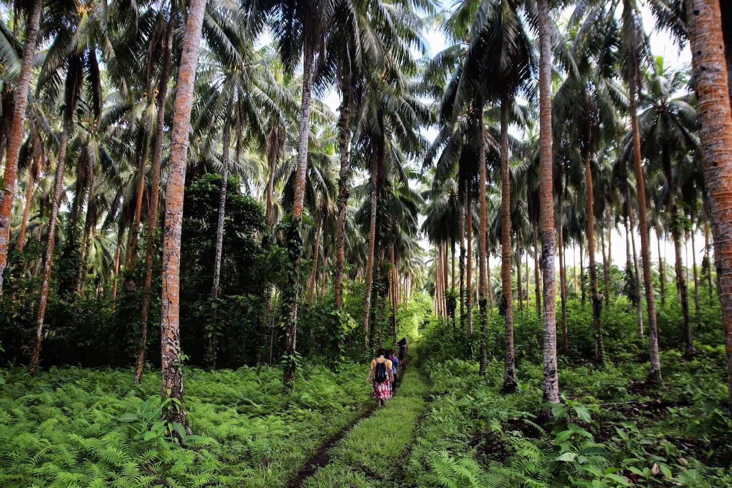 CLASSIC YWAM ADVENTURE DTS | YWAM AUSTRALIA | YWAM TOOWOOMBA
